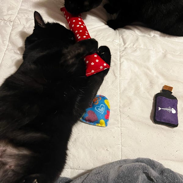 Mini Mice Set of 3 Cat Toys - Organic Catnip - Etsy