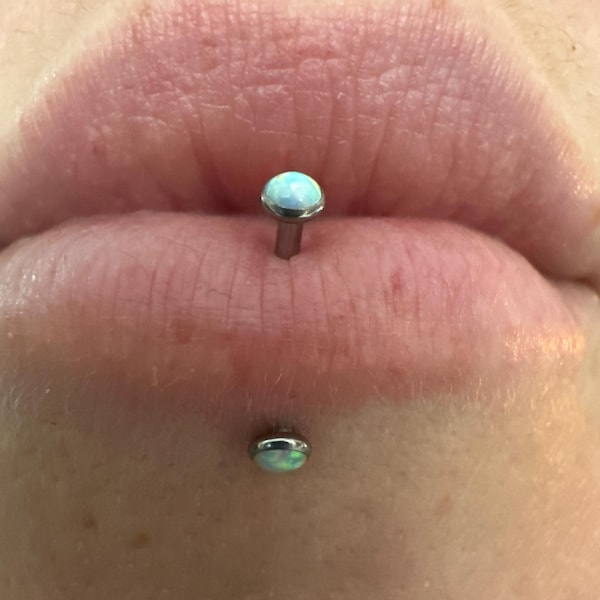 Vertical Labret Bridge Piercing Eyebrow Rings Belly Button Bars Rook ...