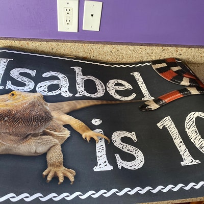 Printed Lizard Party 2x3 Backdrop Birthday Banner Reptile Theme Party ...