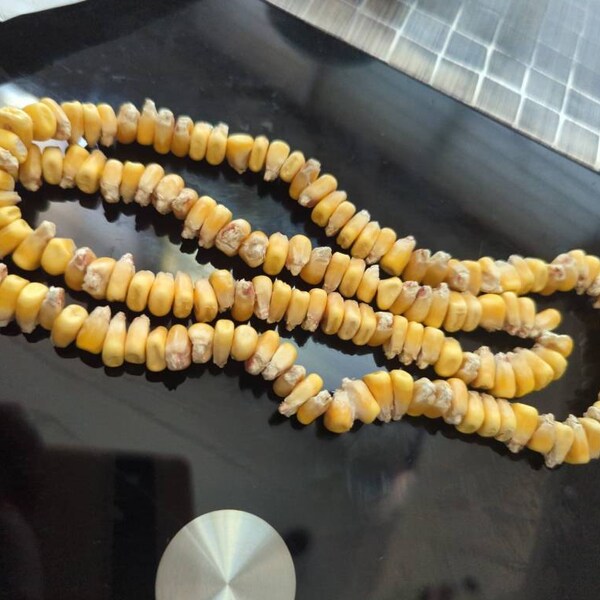 Natural Colored Indian Corn Necklace Undyed-non-gmo-powwow-autumn ...