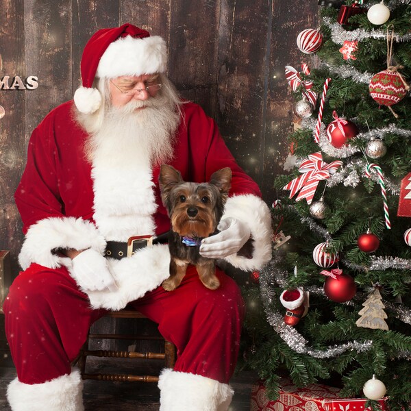 Santa Digital Backdrop, Christmas Scene, Christmas Digital Download ...