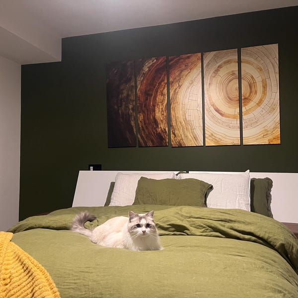 Abstract Face Art Canvas, Woman Wall Art Living Room Decor, Abstract ...