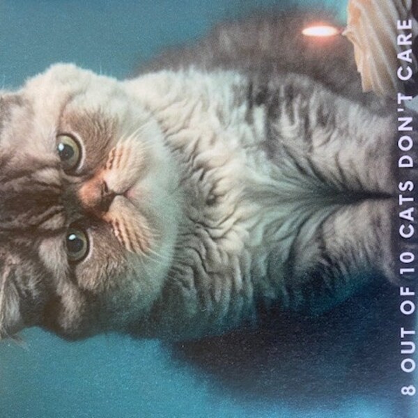 Birthday Monkeys AR Monkey Birthday Card Funny Video Birthday Card ...