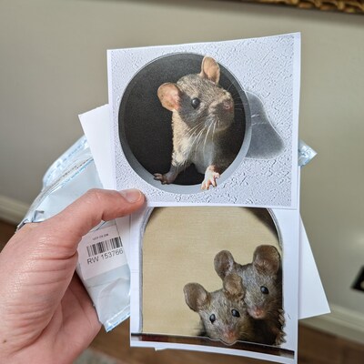 Realistic 3D Mouse Wall Sticker - Etsy