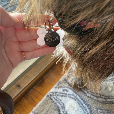 SMALL Custom Engraved Pet ID Tags for Your Dog or Cat - Etsy