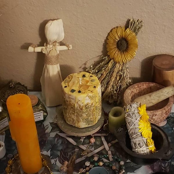 Citrus Sun Catcher, Litha Altar Decor, Witchy Garden Decor, Dried ...