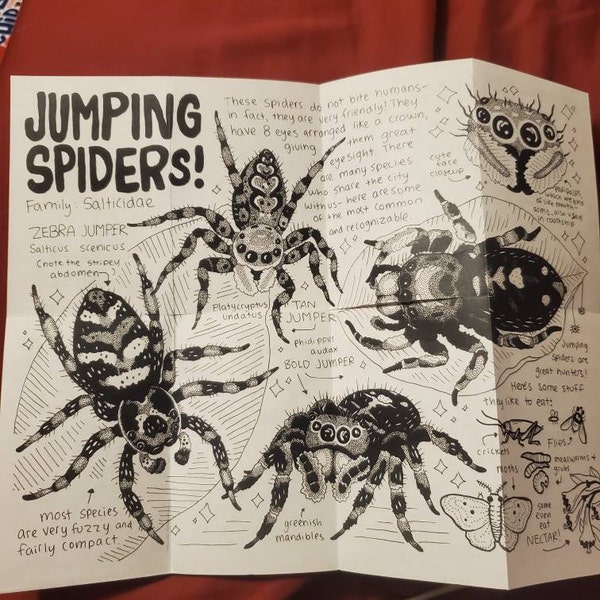 Paper Garden, Reversible Collage Zines - Etsy