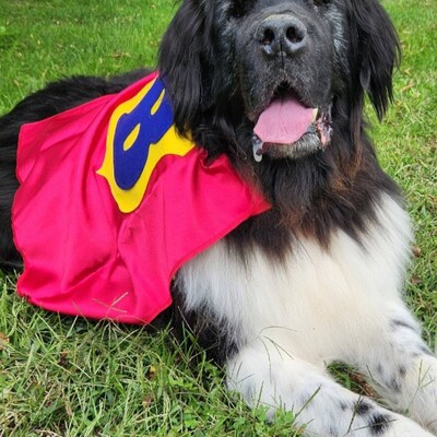 SUPERHERO POWER CAPES, Single-sided With Emblem and Initial - Etsy