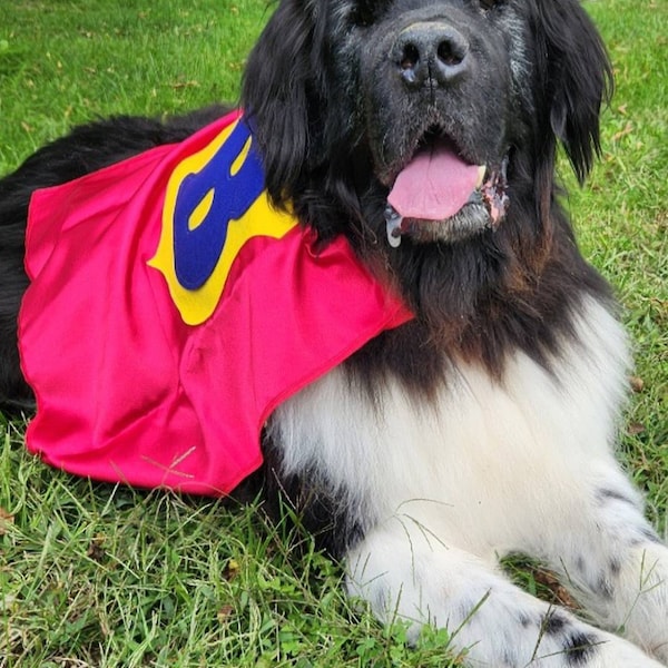 SUPERHERO POWER CAPES, Single-sided With Emblem and Initial - Etsy