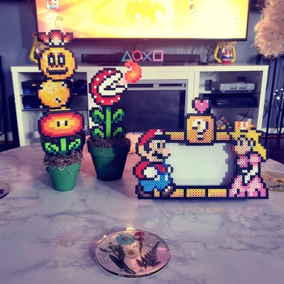 Mario Brothers Plants, Pokey, Cactus, Video Game Plants, Mario Plants ...