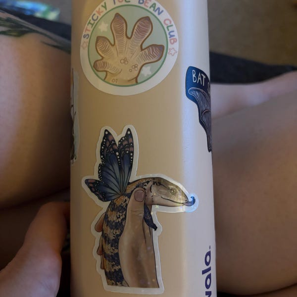 Clown Reptile Stickers | Ball Python | Leopard Gecko | Crested Gecko ...