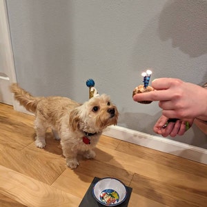 Pet Party Hat Mini Cat Birthday Party Hat Mini Cat Party Hat Dog ...