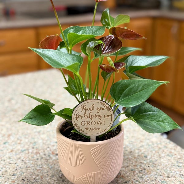 Personalized Teacher Gift Thank You for Helping Me Grow Plant Stake ...