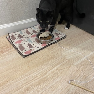 Dried Quail Wings4 for Crafts & Cats - Etsy