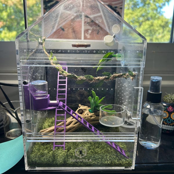 The Original Jumping Spider Water Station Hanging Magnetic Wicking ...