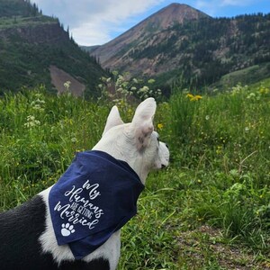 Ball-less & Flawless Dog Bandana, Funny Dog Bandana, Neuter Bandana ...