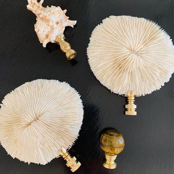 Lamp Finial-sea SNAIL SHELL W/polished or Antique Brass Finish Base (1 ...
