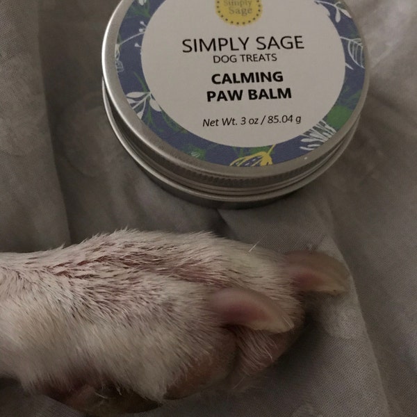 Calendula Dog Paw Balm, Paw Pad Care, Pet Wellness Supplies, Dog ...