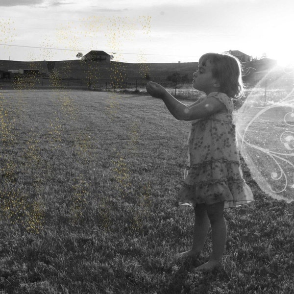 50 FIREFLY TRANSPARENT PNG Photoshop Overlays, Fireflies Photoshop ...
