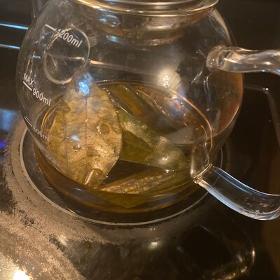 Stinking Toe Powder Hymenaea Courbaril No GMO 100% Organic Air Dried ...