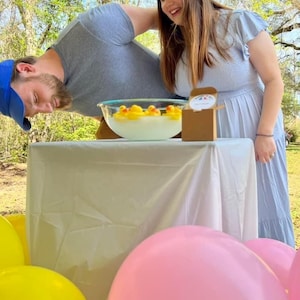 Waddle It Be Rubber Duck Gender Reveal Fizz by Mail Pregnancy ...