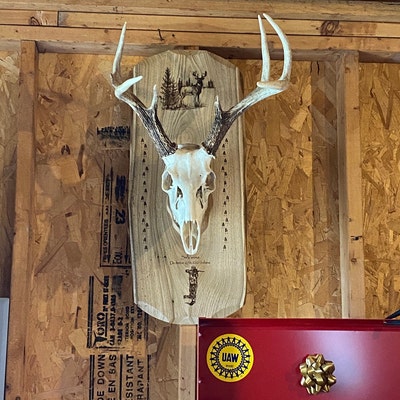 European Mount Board Deer Mount Board With State Deer Hunting European ...