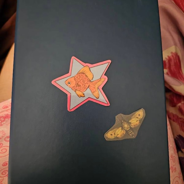 Goldfish Star Sticker | Glossy and Waterproof - Etsy
