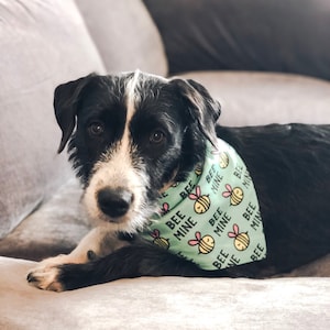 Customized Dog Quotes Coffee Mugs | Etsy