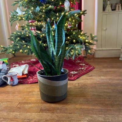 6 Inch Geode Pot Concrete Pot Hand Painted Pot Stone Pot - Etsy