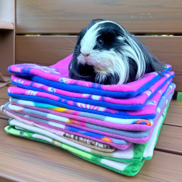 Guinea Pig Geometric Makeup Bag - Etsy