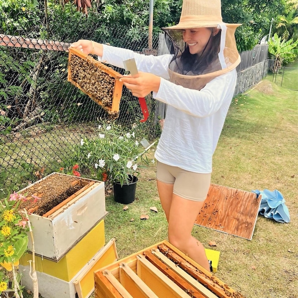 Swarm Trap for Honey Bees, Cone Trap, Swarm Lure, Lemongrass Essential ...