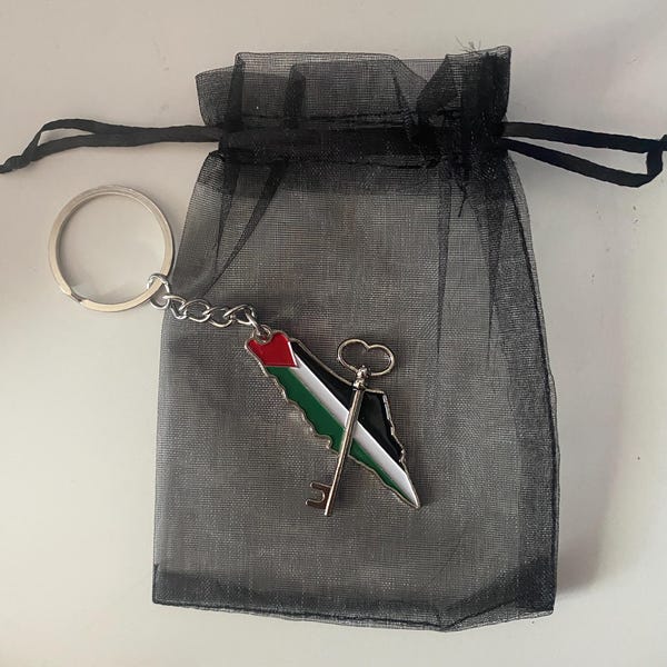 Palestinian Embroidery Motifs Map of Palestine Tatreez Map Pattern ...