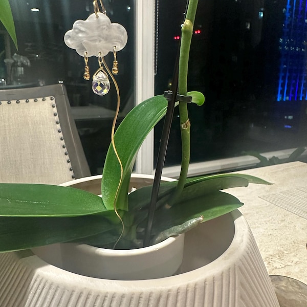 Small Rain Cloud Plant Stake. House Plant Decor. Wire Plant Stake ...