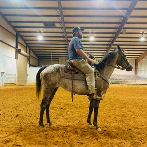 Premium Leather Hand Carved Western Ranch Roper Horse Saddle With ...