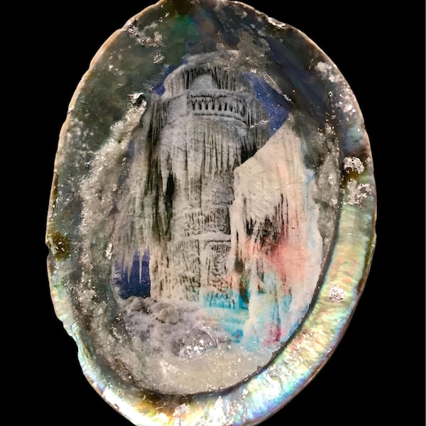 Abalone Shell, New Zealand Abalone, Smudge Bowl, Holds Smudge Kits ...