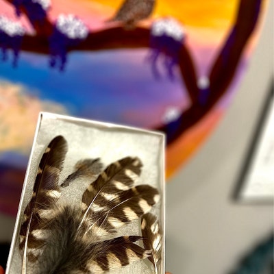 One Hawk Feather, Buzzard Feather, Raptor Bird of Prey Wing Feather ...