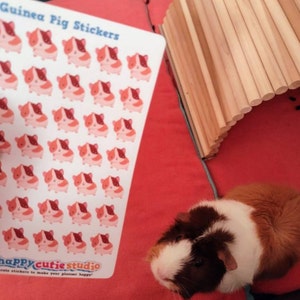 48 Cute Wifi Bill Icons/pay Bill/ Bills Reminder Planner - Etsy