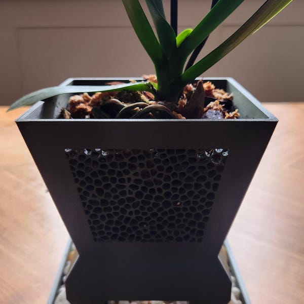Pebble Tray for Plants (pre-washed Pebbles Included) - Etsy