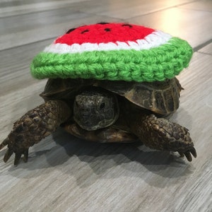 Custom Tortoise Diaper | Etsy