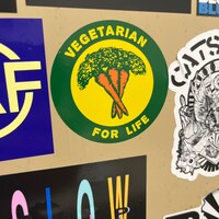 Gain Wisdom Small Bumper Sticker Outdoor Vinyl Sticker - Etsy Canada