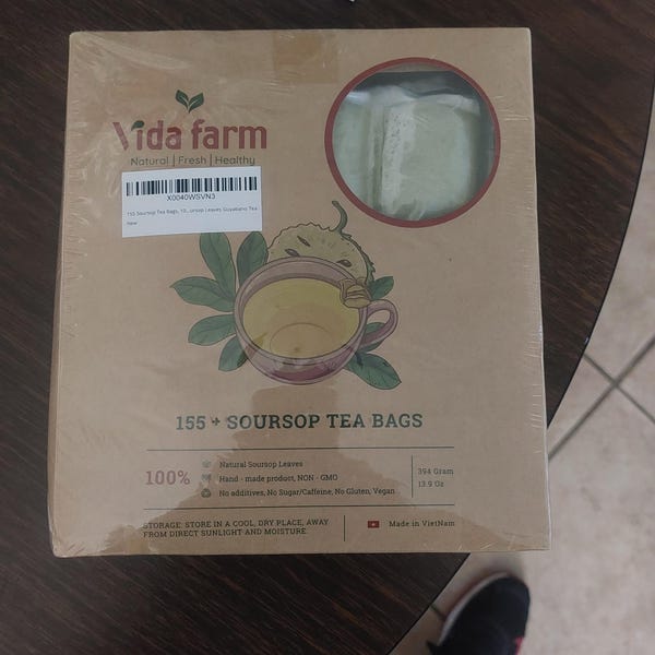 Ash Gourd Plant in 4 Inch Pot, Live Long Winter Melon Plants Potted ...