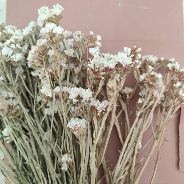 White Statice Dried Flower Bunch | White Sea Lavender Bouquet | Dried ...