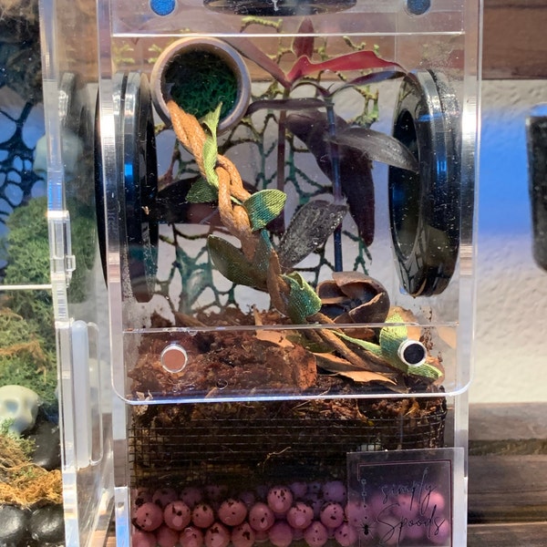Jumping Spider Barrel Hide With Vine Ladder - Etsy