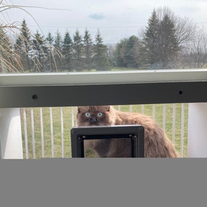 Cat Solarium Sunroom Package: the Ultimate Cat Window Box. - Etsy