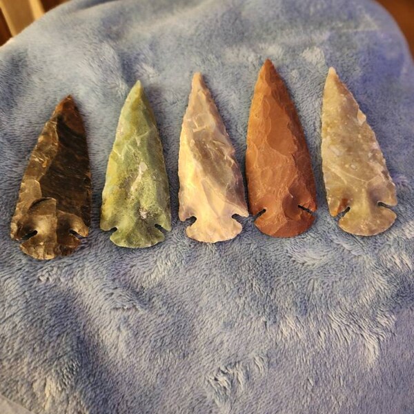 6-9 Burnt Tip Water Buffalo Horn, Polished Horn, Longhorn Tip, Steer ...