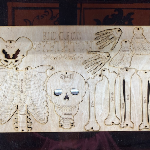 Build Your Own Skeleton Laser Cut Digital File | Cute Halloween DIY ...