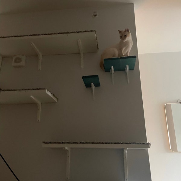 Large Cat Climbing Steps Wide & Long, Set of 4 Wall Mounted Shelves ...