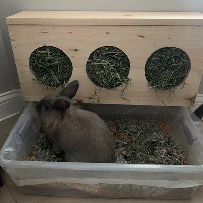 Rabbit Bunny Hay Feeder for Litter Pans - Etsy