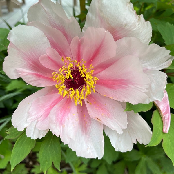 Powerful Money Spell.unleash the Power of Abundance: Extraordinary ...