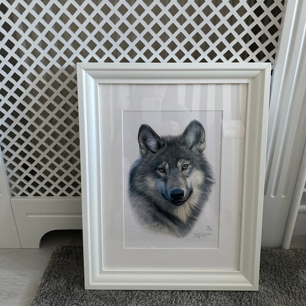Grey Wolf | Color Pencil Drawing Print | Wildlife Art | Artwork Signed ...